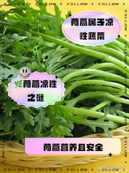 茼蒿是凉性还是热性_孕妇能吃吗-第1张图片-山城妙识 茼蒿是凉性还是热性_孕妇能吃吗-第1张图片-山城妙识