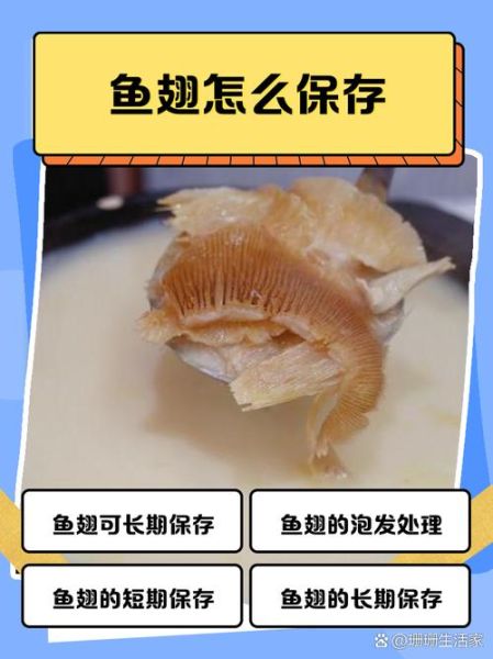 鱼翅怎么泡发_鱼翅图片做法步骤-第3张图片-山城妙识