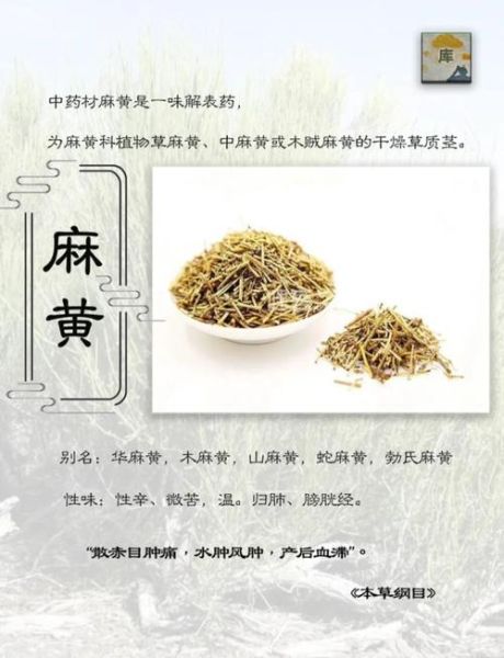 麻黄的功效与作用_麻黄主治哪些疾病-第2张图片-山城妙识 麻黄的功效与作用_麻黄主治哪些疾病-第2张图片-山城妙识