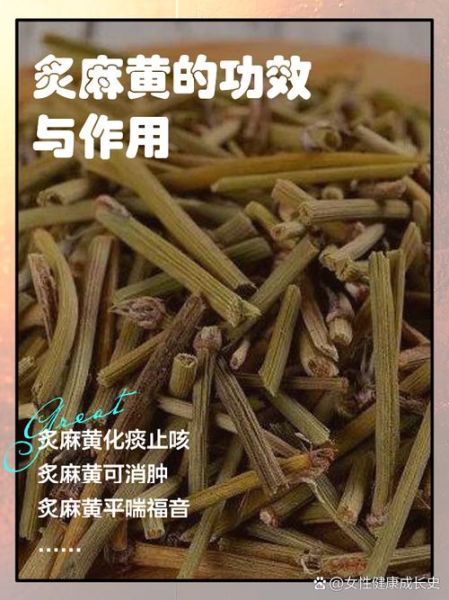 麻黄的功效与作用_麻黄主治哪些疾病-第3张图片-山城妙识 麻黄的功效与作用_麻黄主治哪些疾病-第3张图片-山城妙识