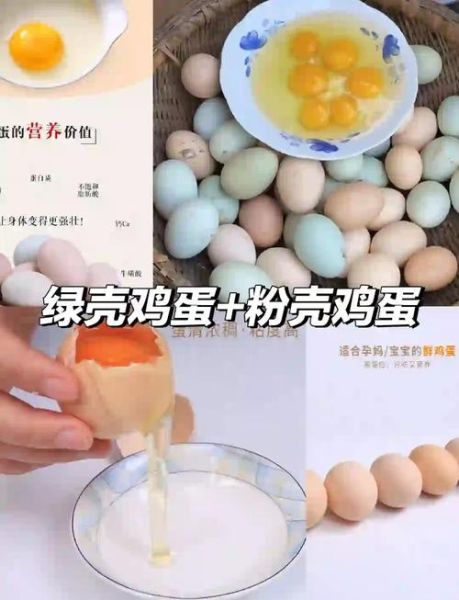 鸡蛋壳能吃吗_鸡蛋壳粉怎么吃-第1张图片-山城妙识 鸡蛋壳能吃吗_鸡蛋壳粉怎么吃-第1张图片-山城妙识