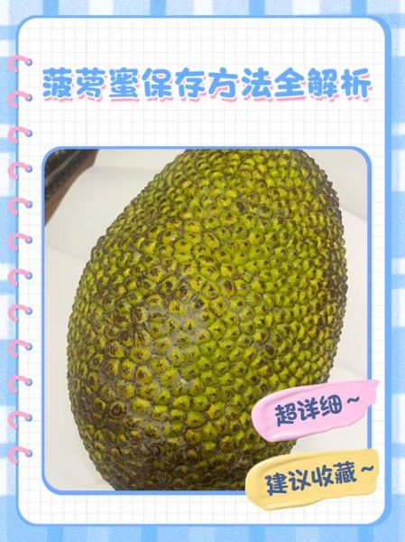 菠萝蜜太多吃不完怎么办_如何保存不浪费-第3张图片-山城妙识 菠萝蜜太多吃不完怎么办_如何保存不浪费-第3张图片-山城妙识