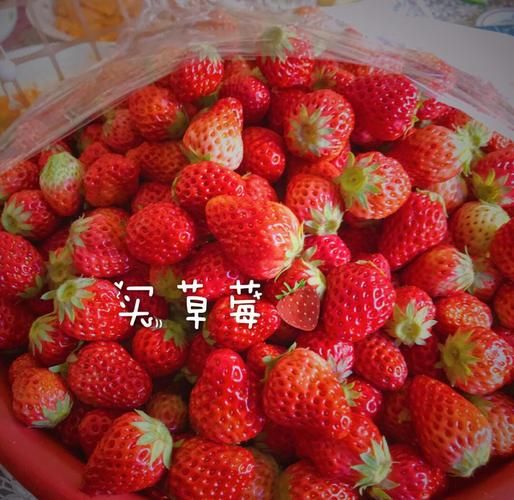 草莓酱怎么做_草莓酱保存多久-第3张图片-山城妙识 草莓酱怎么做_草莓酱保存多久-第3张图片-山城妙识