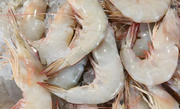 盐水虾煮几分钟熟_如何判断虾肉刚好弹牙-第3张图片-山城妙识 盐水虾煮几分钟熟_如何判断虾肉刚好弹牙-第3张图片-山城妙识