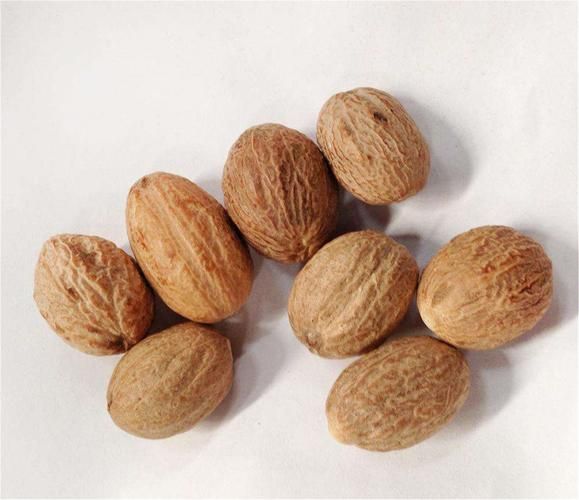 豆蔻图片大全_豆蔻长什么样-第3张图片-山城妙识 豆蔻图片大全_豆蔻长什么样-第3张图片-山城妙识