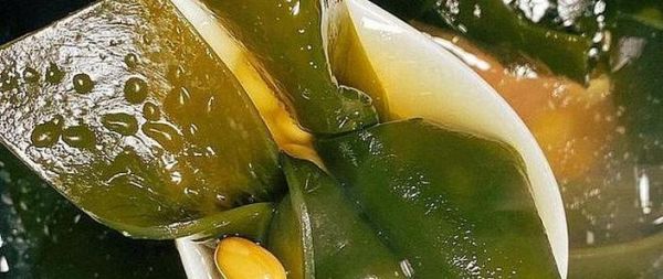 干海带先蒸还是先泡_干海带怎么泡发最快-第1张图片-山城妙识 干海带先蒸还是先泡_干海带怎么泡发最快-第1张图片-山城妙识