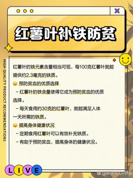 红薯叶的功效与作用禁忌_红薯叶什么人不能吃-第1张图片-山城妙识 红薯叶的功效与作用禁忌_红薯叶什么人不能吃-第1张图片-山城妙识