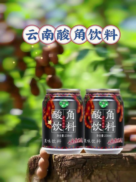 酸角汁怎么做_酸角汁的功效与作用-第2张图片-山城妙识