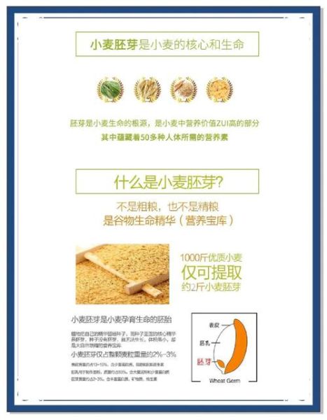 小麦胚芽的营养价值_怎么吃最健康-第1张图片-山城妙识 小麦胚芽的营养价值_怎么吃最健康-第1张图片-山城妙识