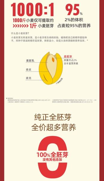 小麦胚芽的营养价值_怎么吃最健康-第3张图片-山城妙识 小麦胚芽的营养价值_怎么吃最健康-第3张图片-山城妙识