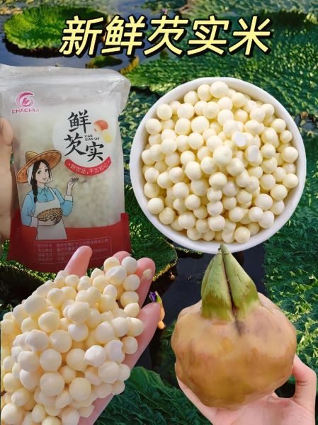 白芡实怎么吃最好_白芡实的功效与作用-第2张图片-山城妙识