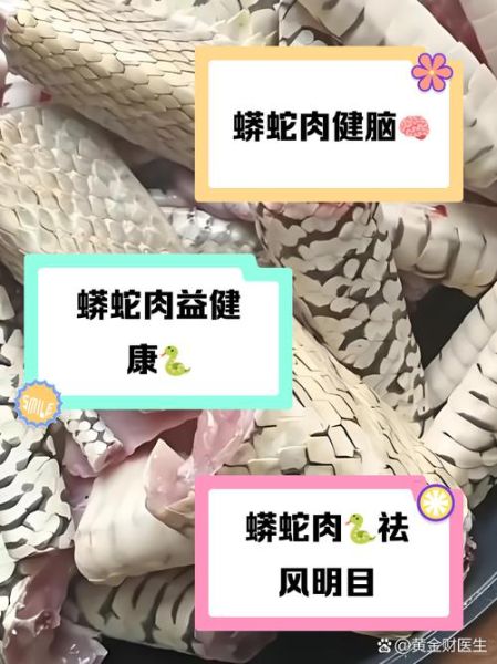 蛇肉的做法_蛇肉的禁忌-第1张图片-山城妙识