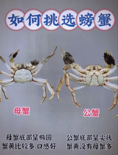 公蟹母蟹哪个好吃_口感区别在哪-第3张图片-山城妙识