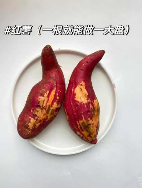 地瓜真实图片长什么样_如何辨别真假地瓜-第1张图片-山城妙识 地瓜真实图片长什么样_如何辨别真假地瓜-第1张图片-山城妙识