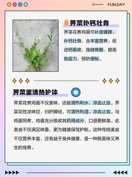 荠菜花煮鸡蛋什么时候吃_荠菜花煮鸡蛋的正确时间-第1张图片-山城妙识 荠菜花煮鸡蛋什么时候吃_荠菜花煮鸡蛋的正确时间-第1张图片-山城妙识