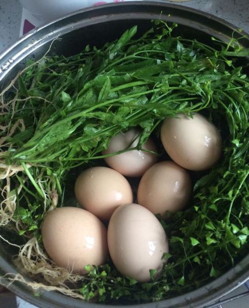 荠菜花煮鸡蛋什么时候吃_荠菜花煮鸡蛋的正确时间-第3张图片-山城妙识 荠菜花煮鸡蛋什么时候吃_荠菜花煮鸡蛋的正确时间-第3张图片-山城妙识