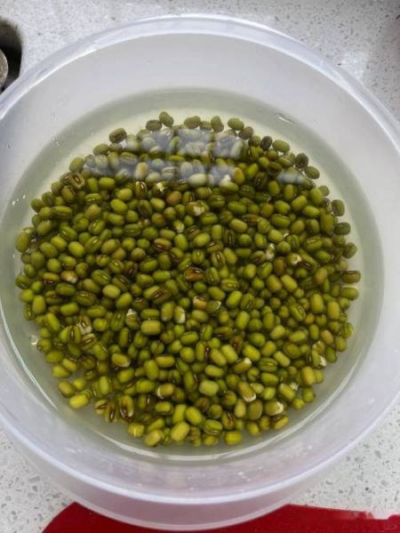 黄豆芽怎么发芽_黄豆芽发芽全过程-第1张图片-山城妙识 黄豆芽怎么发芽_黄豆芽发芽全过程-第1张图片-山城妙识