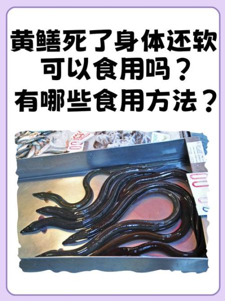 鳝鱼不能和什么一起吃_鳝鱼相克食物有哪些-第2张图片-山城妙识 鳝鱼不能和什么一起吃_鳝鱼相克食物有哪些-第2张图片-山城妙识