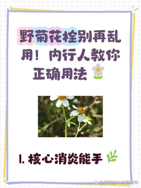 野菊花栓怎么用_野菊花栓多久见效-第1张图片-山城妙识 野菊花栓怎么用_野菊花栓多久见效-第1张图片-山城妙识