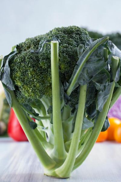 梅菜和芥菜的区别_梅菜是不是芥菜做的-第3张图片-山城妙识 梅菜和芥菜的区别_梅菜是不是芥菜做的-第3张图片-山城妙识