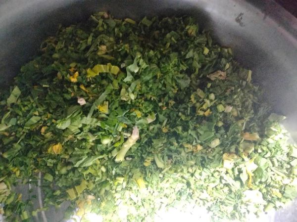 梅菜和芥菜的区别_梅菜是不是芥菜做的-第2张图片-山城妙识 梅菜和芥菜的区别_梅菜是不是芥菜做的-第2张图片-山城妙识