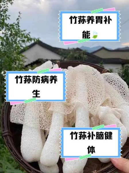 竹荪的功效与作用_竹荪的禁忌人群有哪些-第2张图片-山城妙识 竹荪的功效与作用_竹荪的禁忌人群有哪些-第2张图片-山城妙识