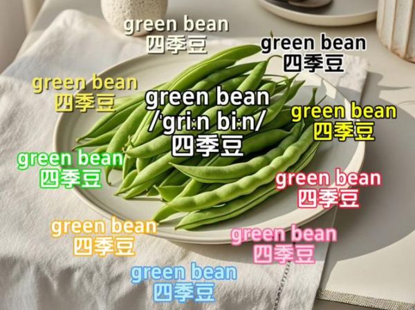 豆角英语怎么说_如何正确发音-第2张图片-山城妙识 豆角英语怎么说_如何正确发音-第2张图片-山城妙识