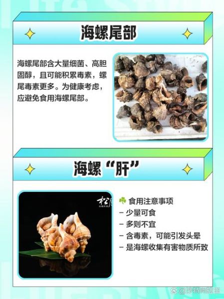 海螺怎么吃_哪些部位不能吃-第1张图片-山城妙识 海螺怎么吃_哪些部位不能吃-第1张图片-山城妙识