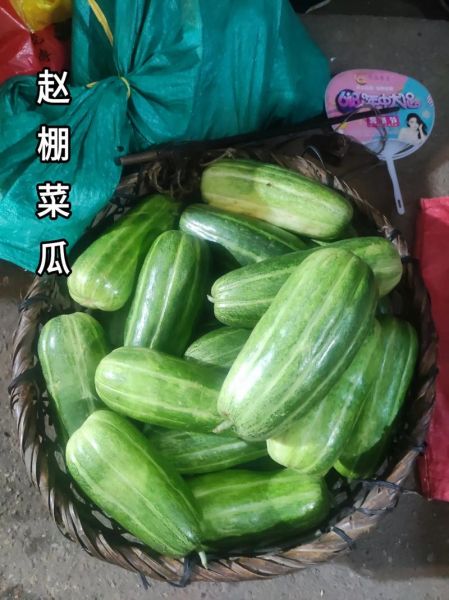 菜瓜的功效与作用_菜瓜怎么吃最健康-第2张图片-山城妙识 菜瓜的功效与作用_菜瓜怎么吃最健康-第2张图片-山城妙识