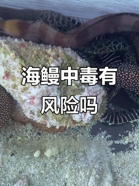 鳗鱼咬一口有多严重_被鳗鱼咬伤怎么处理-第2张图片-山城妙识 鳗鱼咬一口有多严重_被鳗鱼咬伤怎么处理-第2张图片-山城妙识