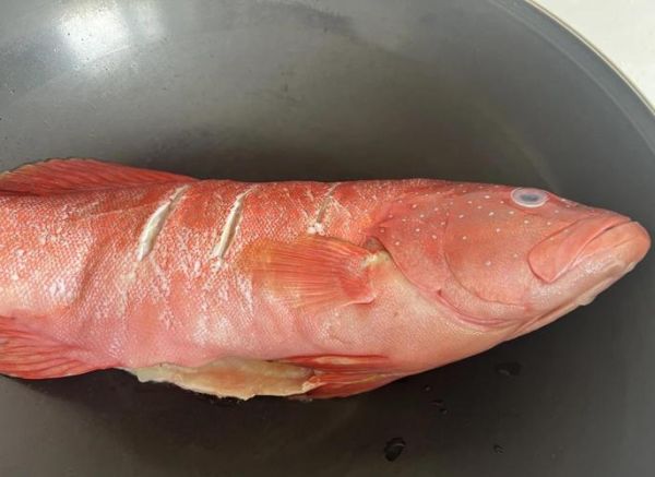 红鲷鱼多少钱一斤_红鲷鱼怎么做好吃-第1张图片-山城妙识 红鲷鱼多少钱一斤_红鲷鱼怎么做好吃-第1张图片-山城妙识