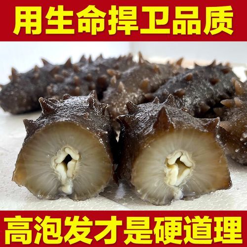 辽参多少钱一斤_辽参价格为什么差距大-第3张图片-山城妙识 辽参多少钱一斤_辽参价格为什么差距大-第3张图片-山城妙识