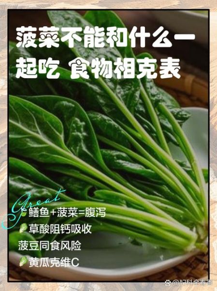 菠菜不能和什么一起吃_蔬菜食物相克大全表-第3张图片-山城妙识 菠菜不能和什么一起吃_蔬菜食物相克大全表-第3张图片-山城妙识