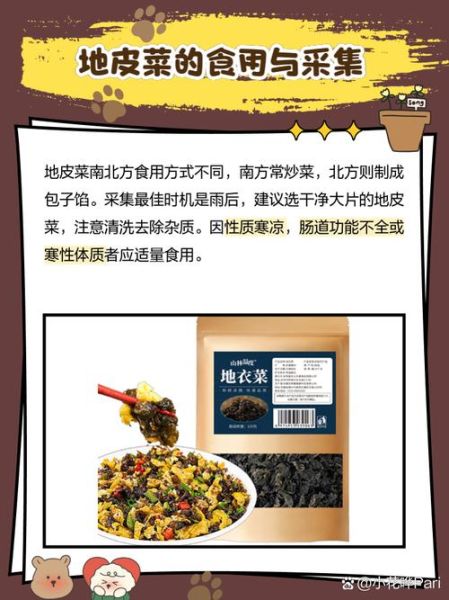 地皮菜的营养价值_地皮菜的功效与作用-第2张图片-山城妙识 地皮菜的营养价值_地皮菜的功效与作用-第2张图片-山城妙识
