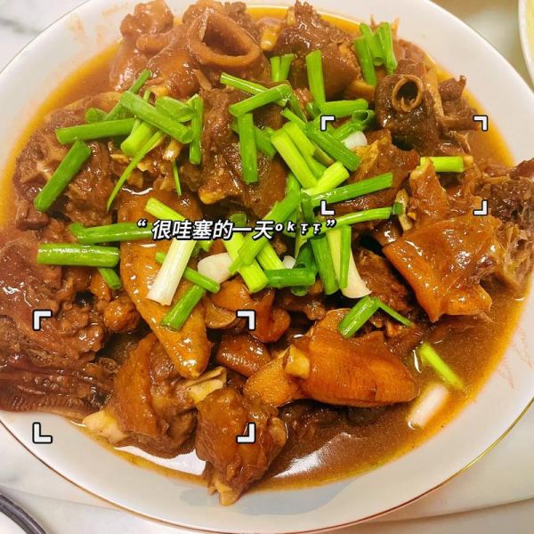 鹅肉红烧怎么做_红烧鹅肉最正宗做法-第3张图片-山城妙识 鹅肉红烧怎么做_红烧鹅肉最正宗做法-第3张图片-山城妙识