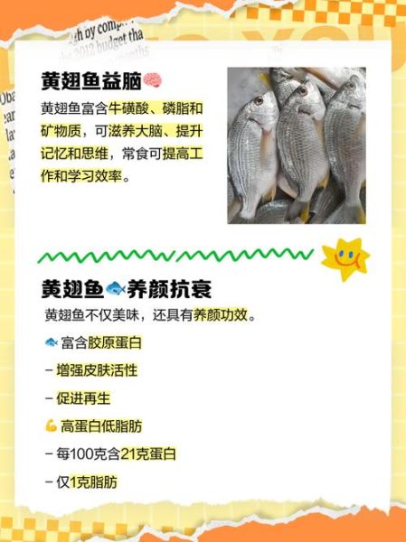 鱼翅有什么功效_鱼翅营养价值高吗-第3张图片-山城妙识 鱼翅有什么功效_鱼翅营养价值高吗-第3张图片-山城妙识