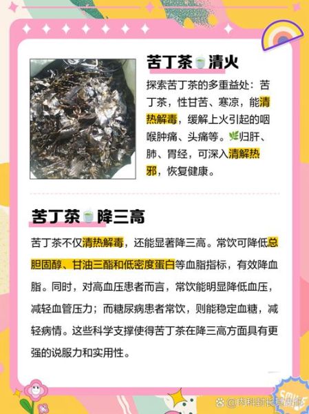 喝苦丁茶有什么好处和坏处_长期饮用会伤胃吗-第2张图片-山城妙识 喝苦丁茶有什么好处和坏处_长期饮用会伤胃吗-第2张图片-山城妙识