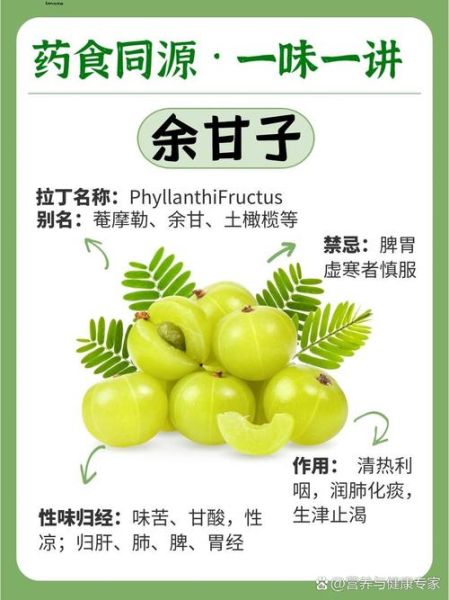 余甘子生粉的功效与禁忌_余甘子生粉怎么吃才安全-第3张图片-山城妙识