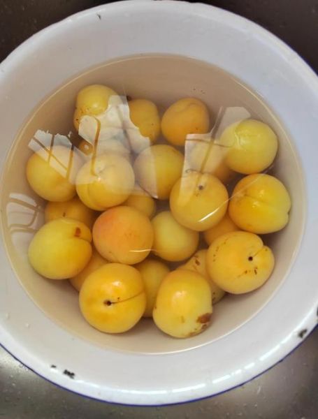 自制罐头蒸好还是煮好_哪个更安全-第2张图片-山城妙识