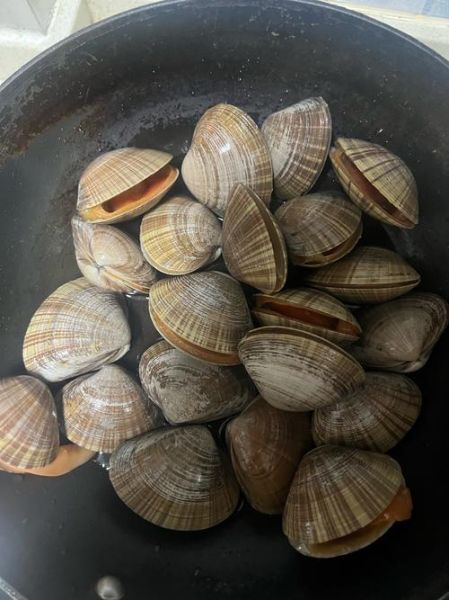 文蛤的功效与作用_文蛤的禁忌有哪些-第2张图片-山城妙识