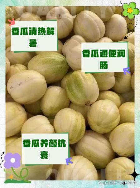 香瓜的功效与作用_香瓜的害处有哪些-第3张图片-山城妙识