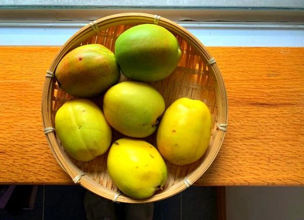 酸木瓜鱼怎么做_酸木瓜鱼做法窍门-第3张图片-山城妙识