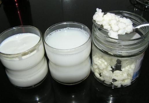 牛奶泡雪莲菌的禁忌_哪些人不能吃-第2张图片-山城妙识 牛奶泡雪莲菌的禁忌_哪些人不能吃-第2张图片-山城妙识