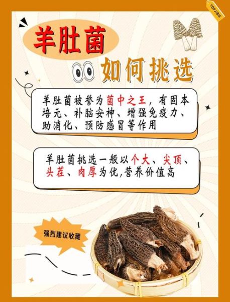 羊肚蘑怎么挑选_羊肚蘑和羊肚菌的区别-第1张图片-山城妙识 羊肚蘑怎么挑选_羊肚蘑和羊肚菌的区别-第1张图片-山城妙识