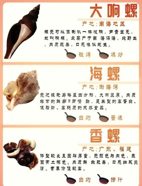 香螺哪里不能吃_香螺内脏怎么分辨-第1张图片-山城妙识 香螺哪里不能吃_香螺内脏怎么分辨-第1张图片-山城妙识