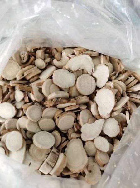 白术图片_白术长什么样-第3张图片-山城妙识 白术图片_白术长什么样-第3张图片-山城妙识