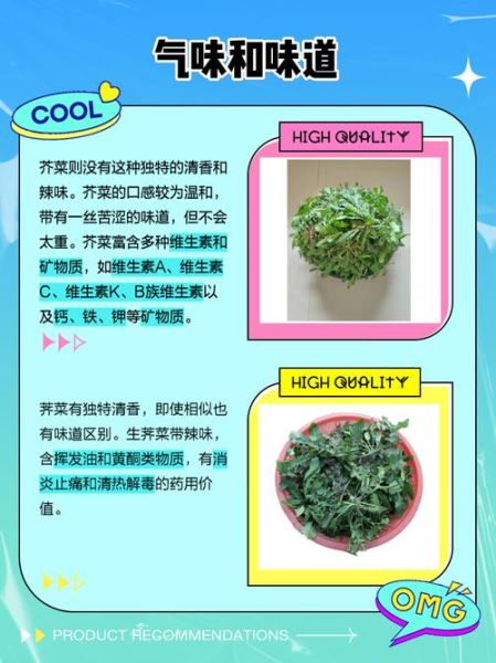 芥菜有哪些品种_芥菜种类怎么区分-第2张图片-山城妙识 芥菜有哪些品种_芥菜种类怎么区分-第2张图片-山城妙识