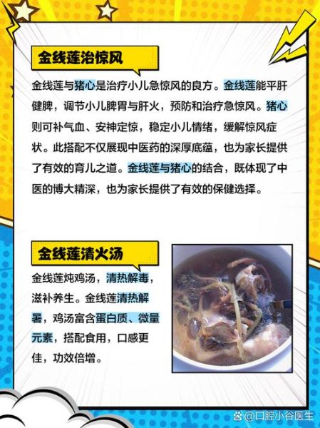 金线莲泡水喝的功效_金线莲泡水一天喝几次-第3张图片-山城妙识