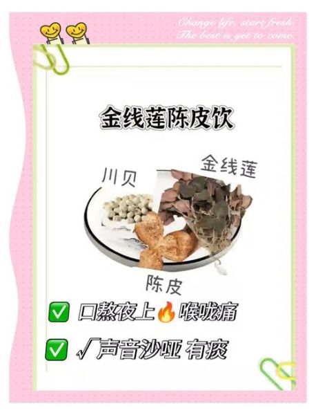 金线莲泡水喝的功效_金线莲泡水一天喝几次-第1张图片-山城妙识