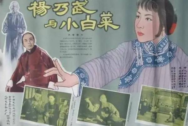 小白菜案件真相是什么_小白菜冤案始末-第1张图片-山城妙识 小白菜案件真相是什么_小白菜冤案始末-第1张图片-山城妙识